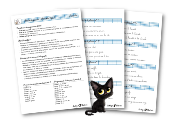 Dictées de phrases en CP – Le blog de Chat noir