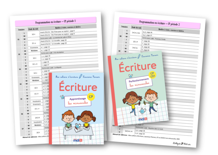 Programmation en écriture 2018-2019 – Le blog de Chat noir