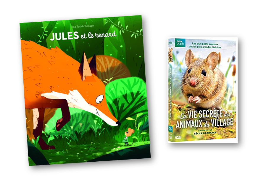 Jules et le renard – Le blog de Chat noir