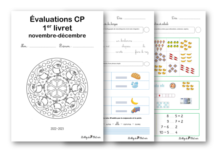 Evaluations novembre-décembre 2022-2023 – Le blog de Chat noir